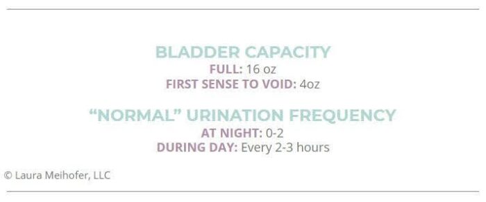Bladder Basics: How The Bladder Works - Laura Meihofer