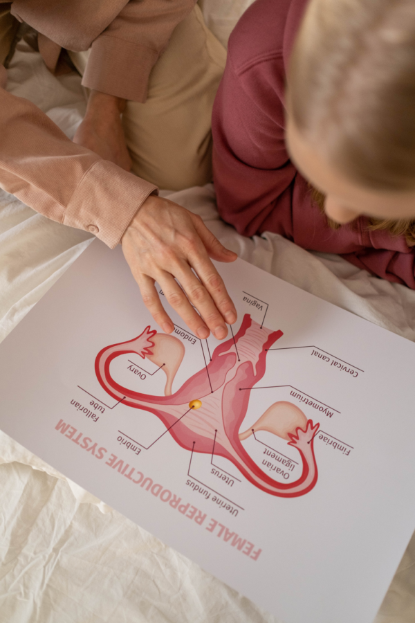 Overcoming Vaginismus A Guide From A Pelvic Floor Physical Therapist